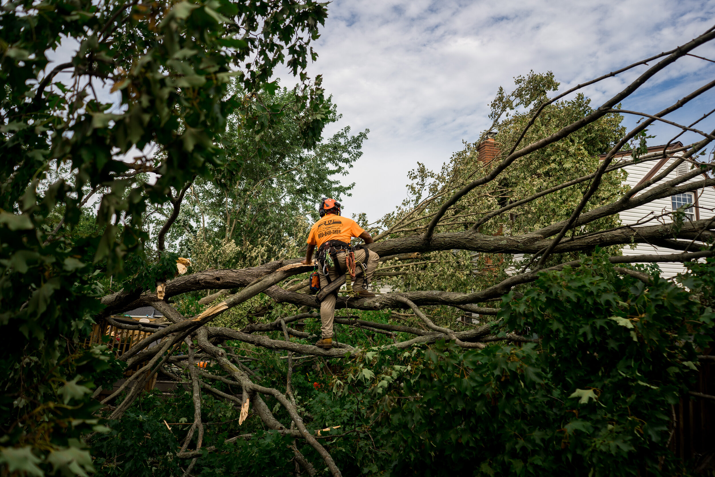 Services — K&J Tree Service