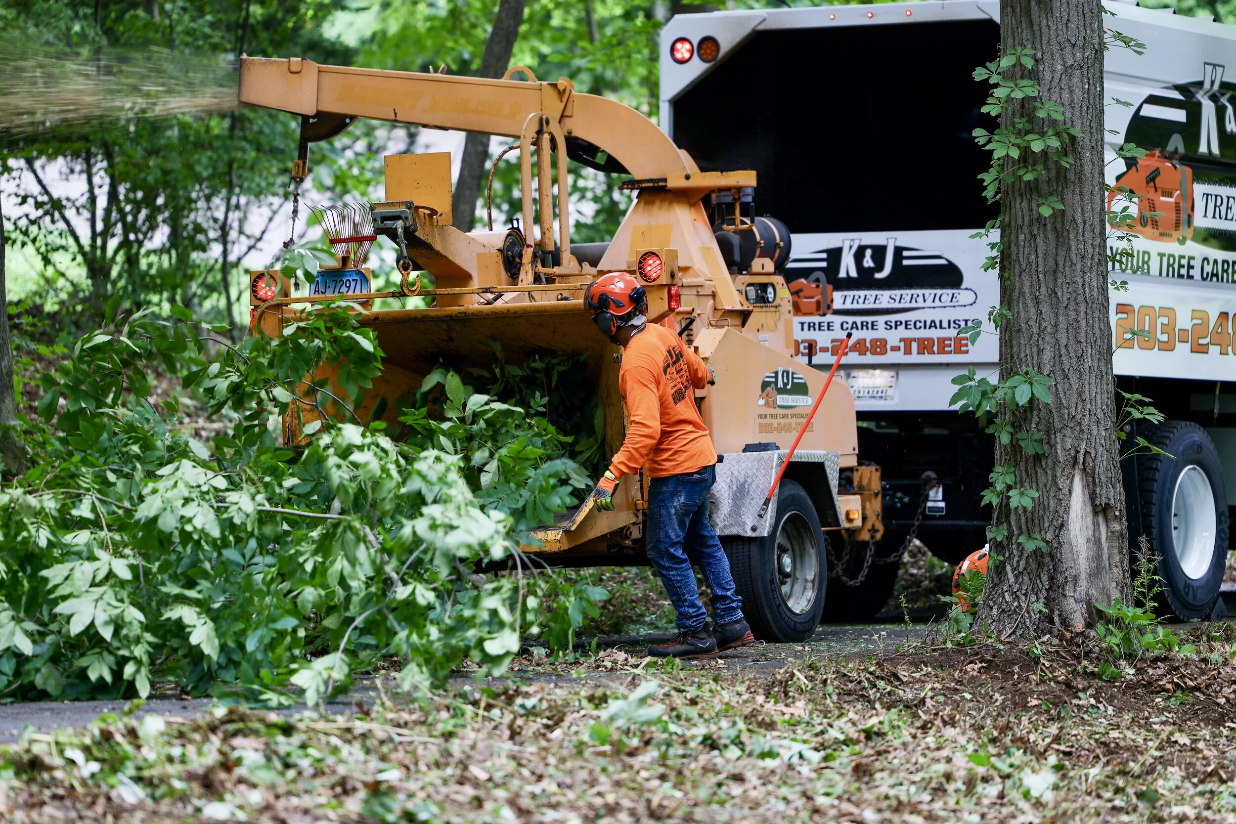 Tree Pruning K J Tree Service