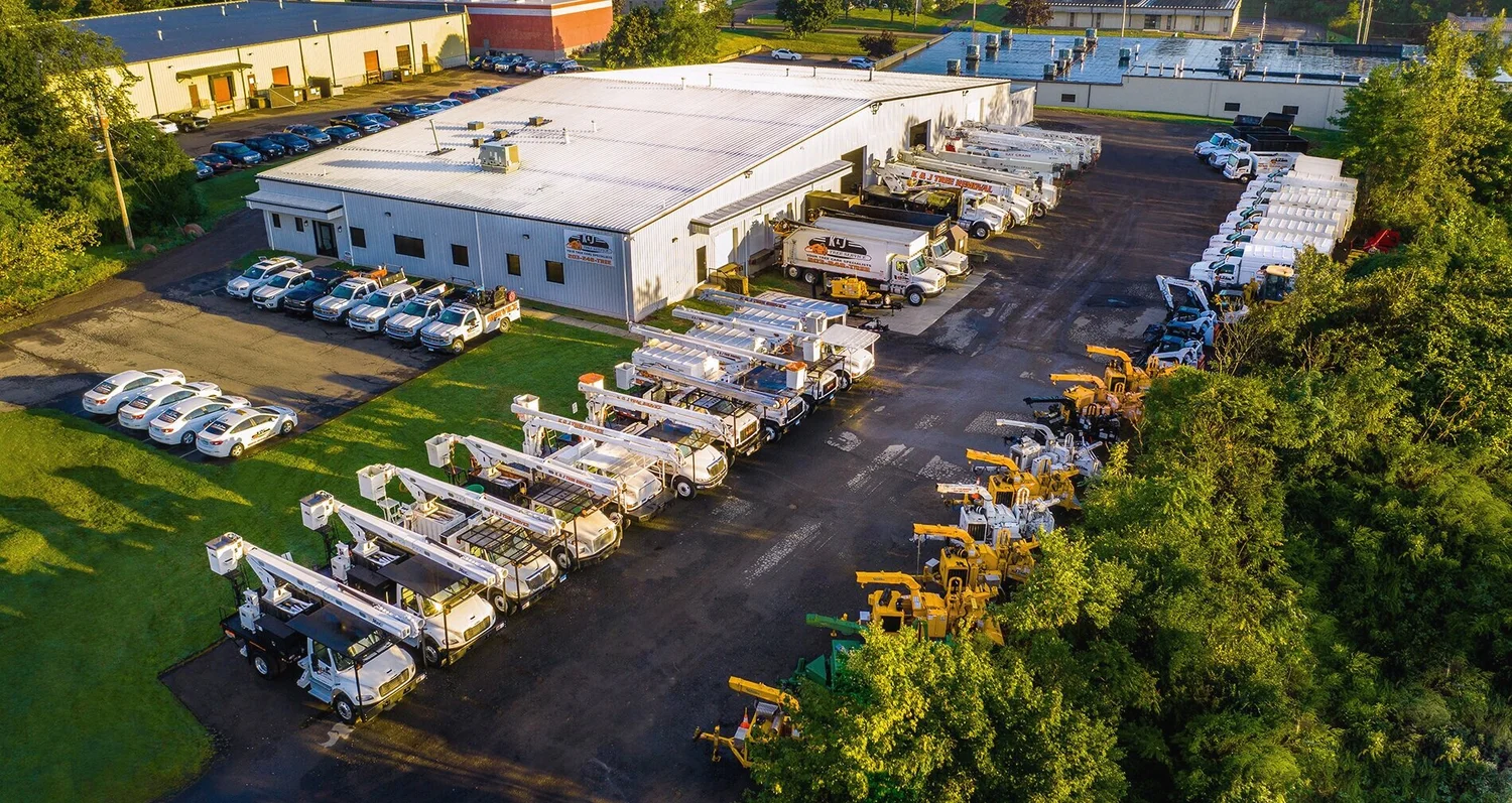 K&J Tree Service | Hamden CT