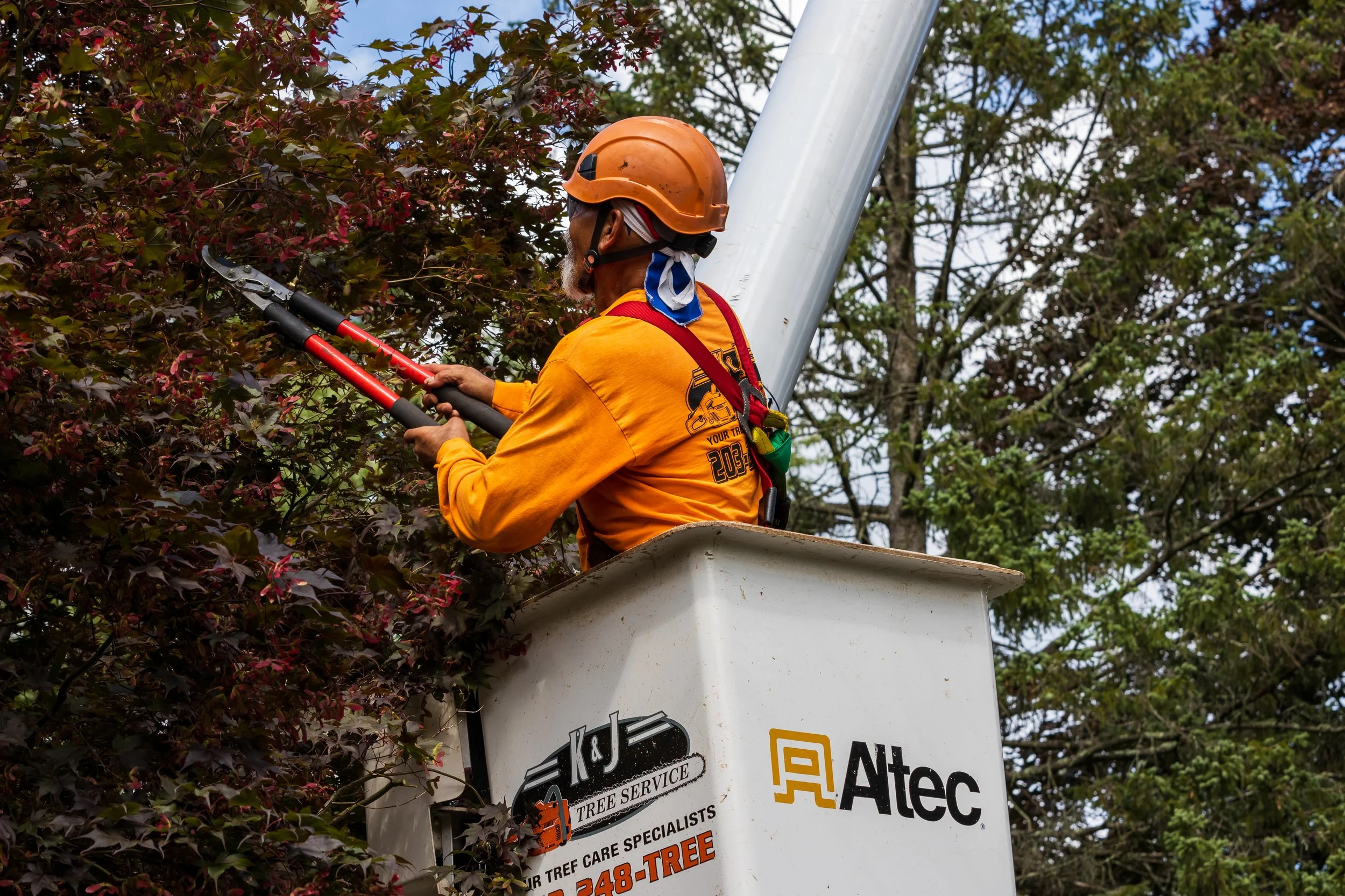 Services — K&J Tree Service