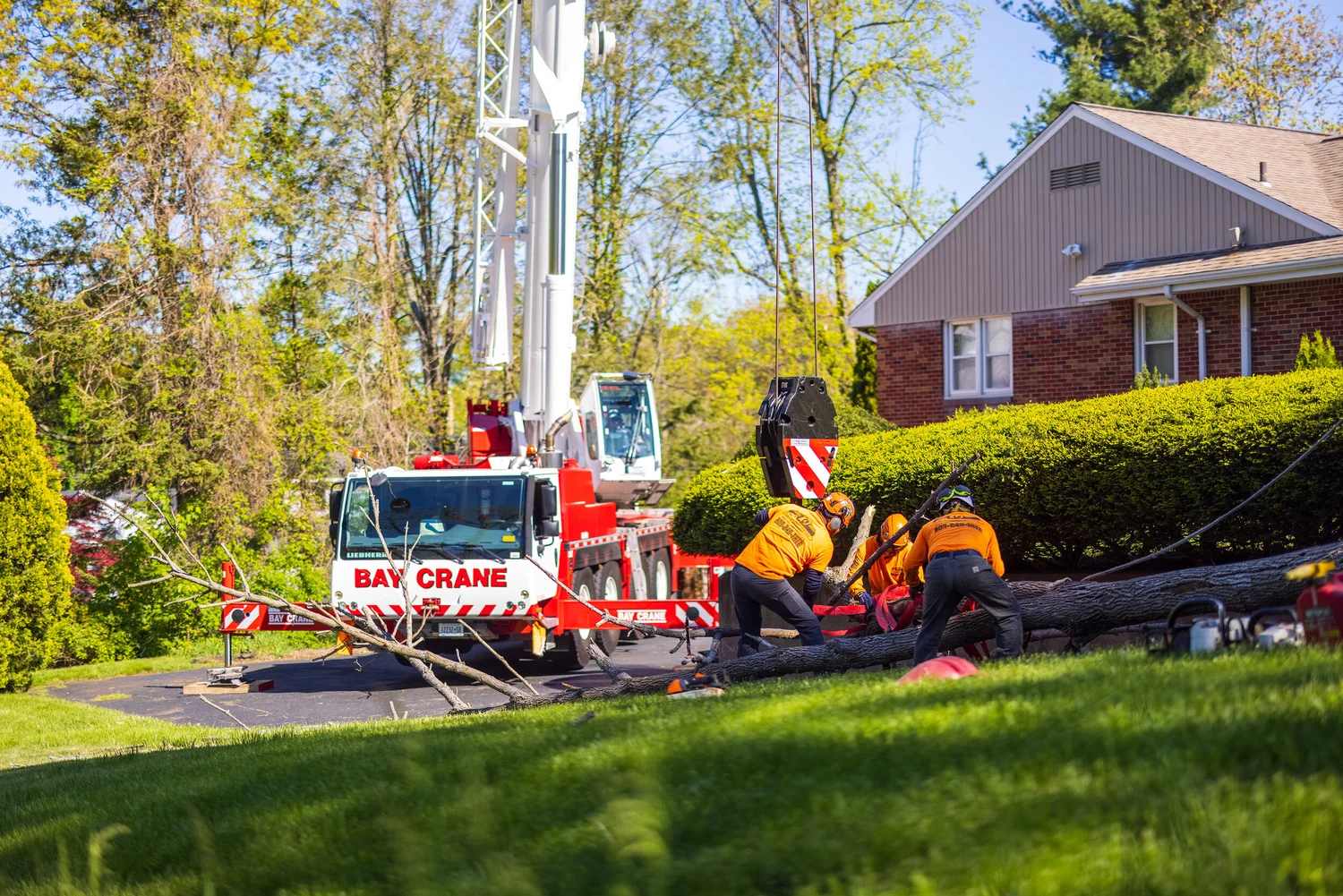 Tree Removal — K&J Tree Service