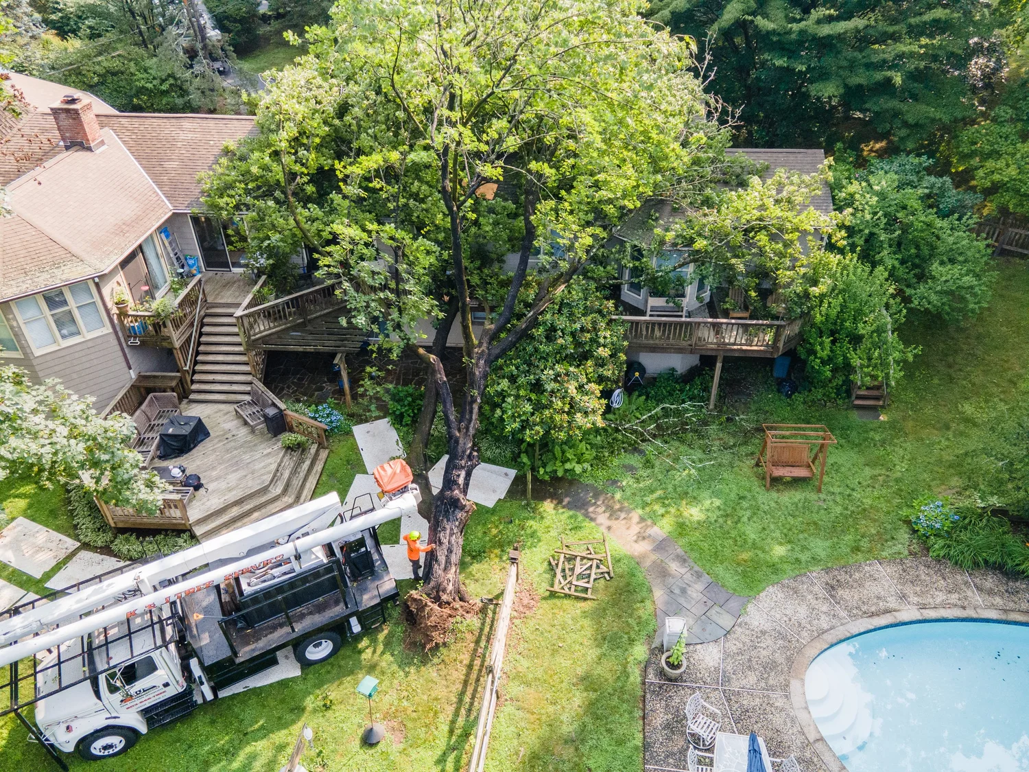 How Extreme Weather Impacts Trees — K&J Tree Service