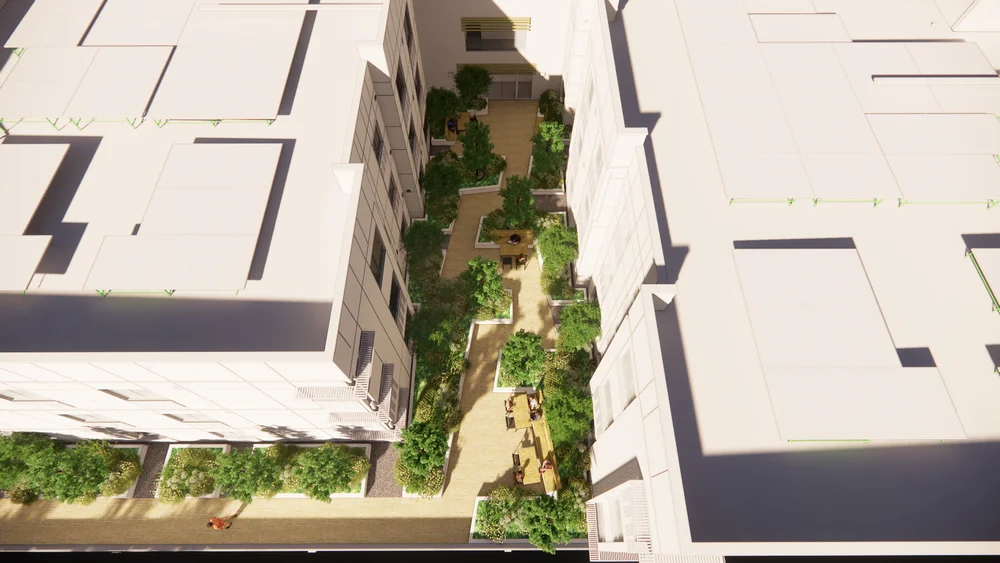 Project: 231 Grant — Plural