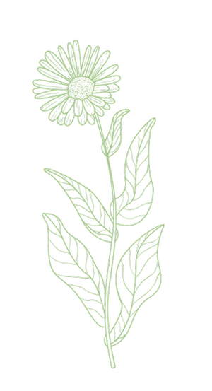 Wounded Warrior Ointment, First Aid Kit in a Bottle | Discover Natural ...