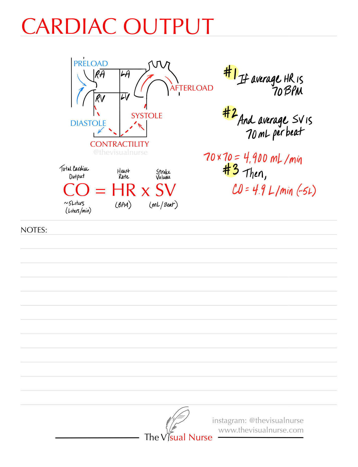 Free Resources — The Visual Nurse