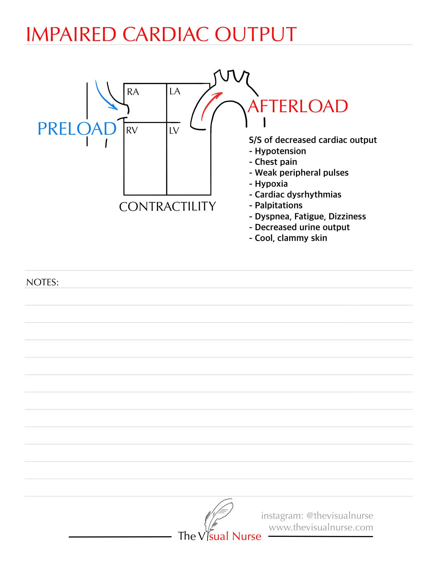Free Resources — The Visual Nurse