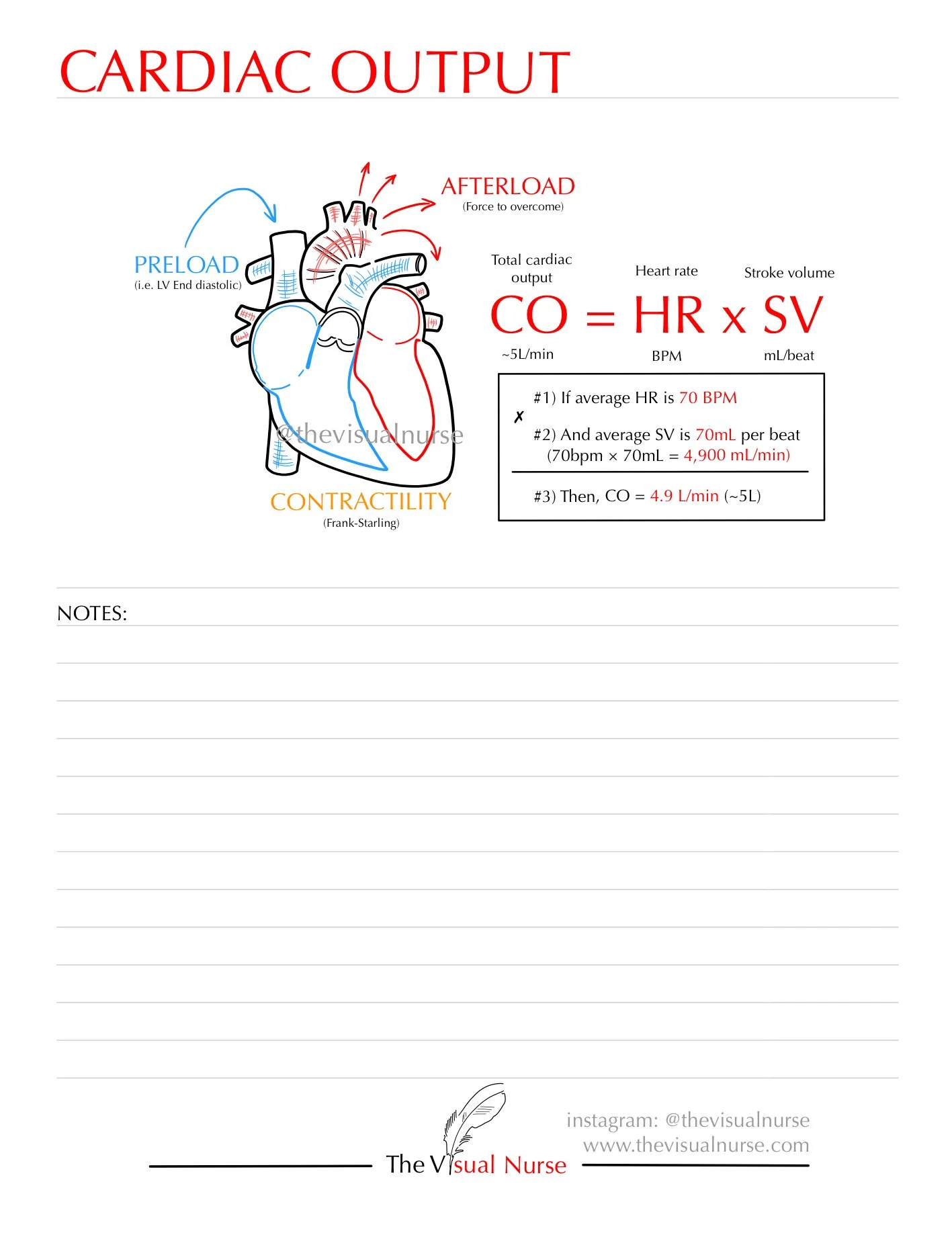 Free Resources & More! — The Visual Nurse