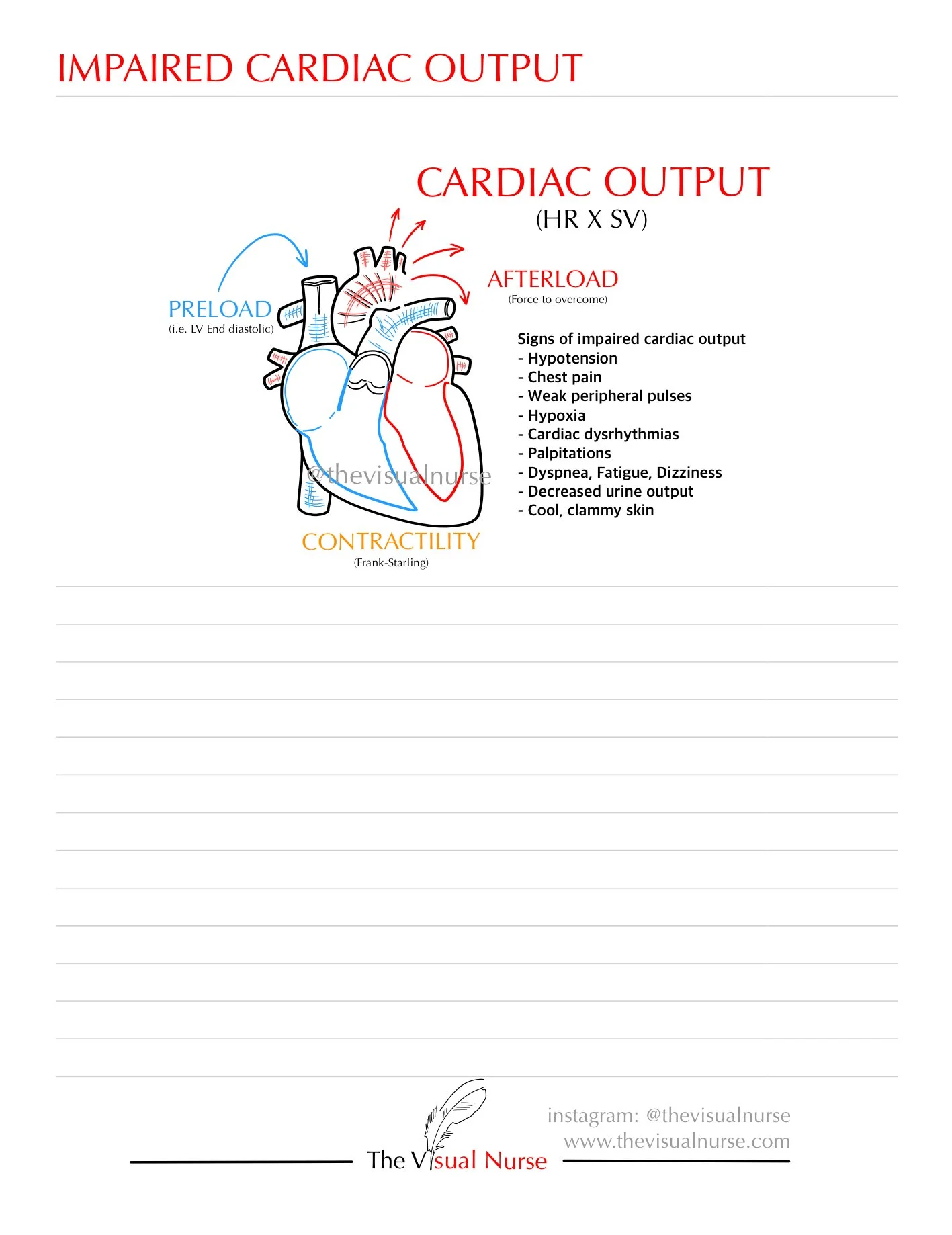 Free Resources & More! — The Visual Nurse