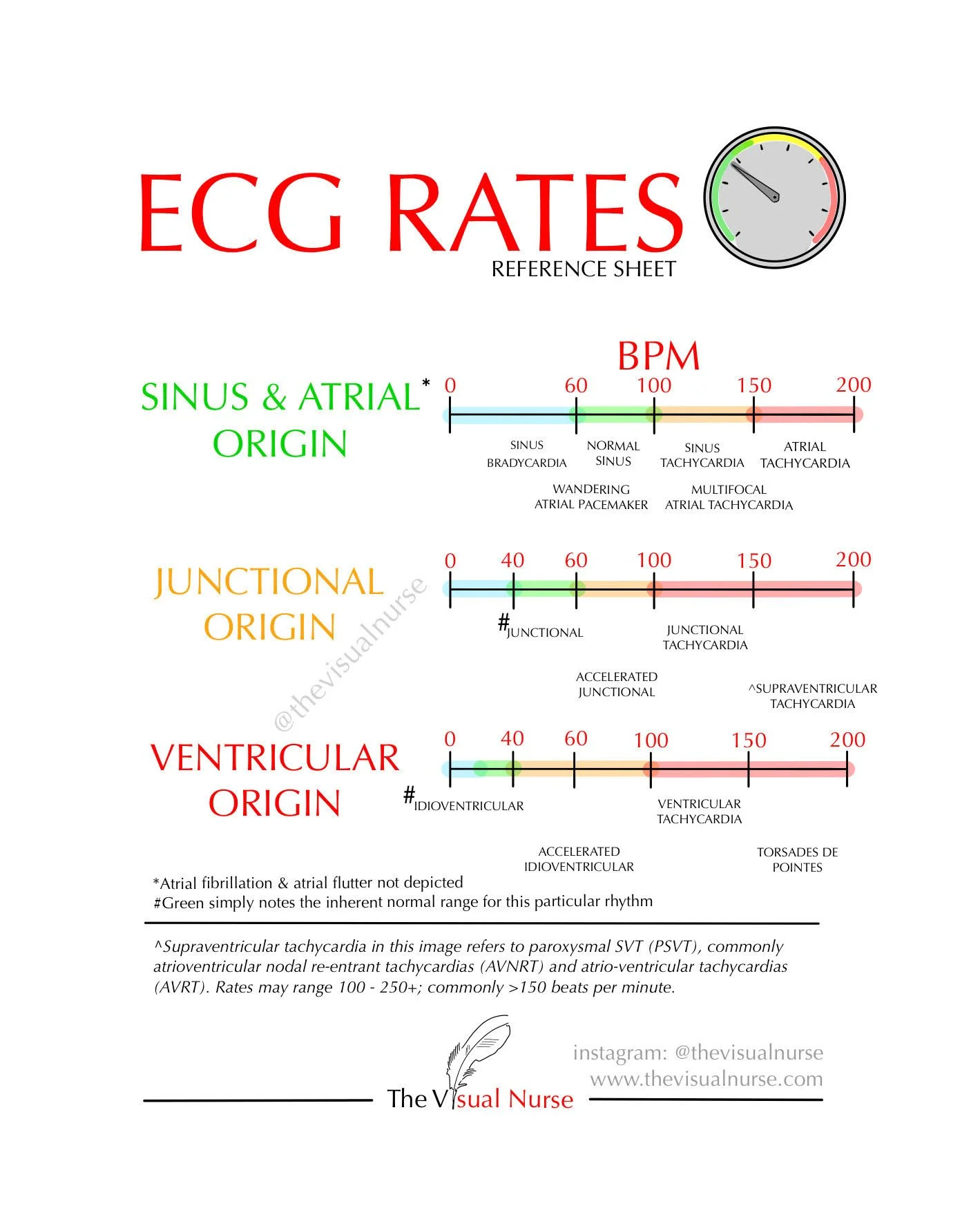 Free Resources & More! — The Visual Nurse