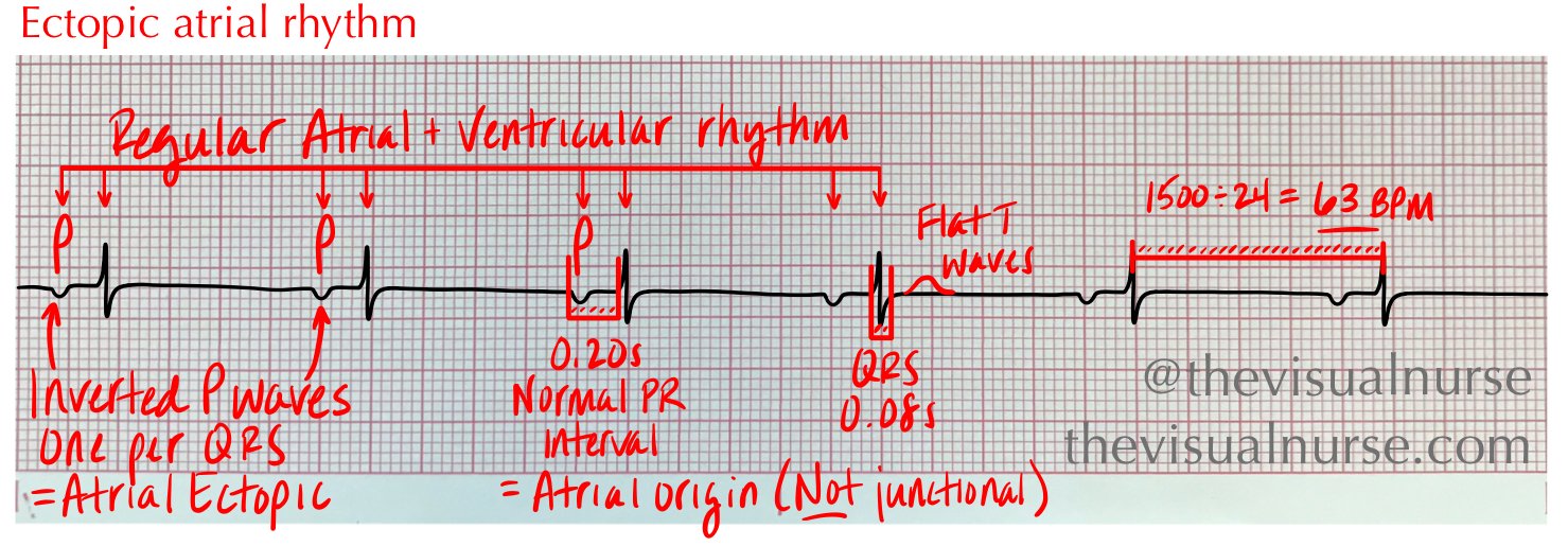 About — The Visual Nurse