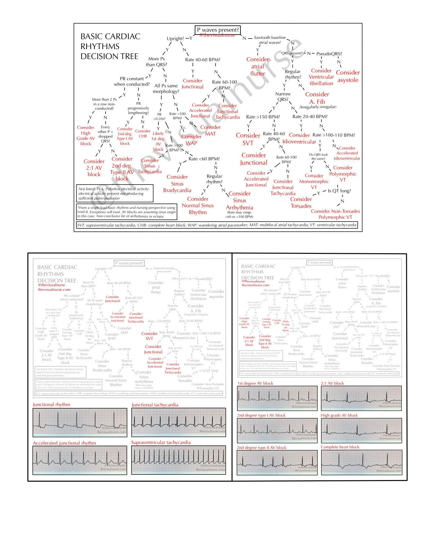 Free Resources & More! — The Visual Nurse