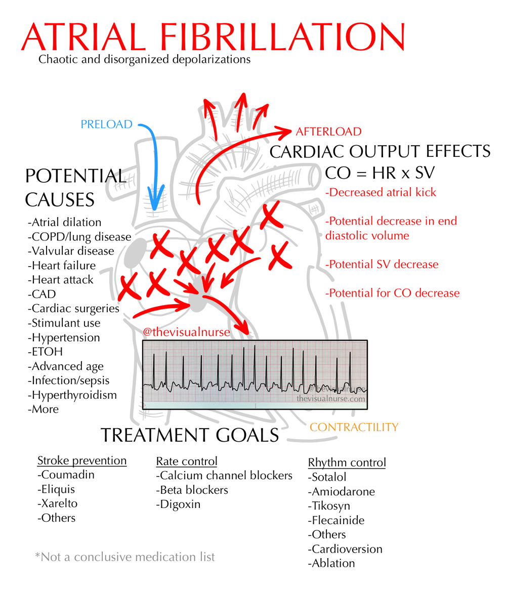 Free Resources & More! — The Visual Nurse