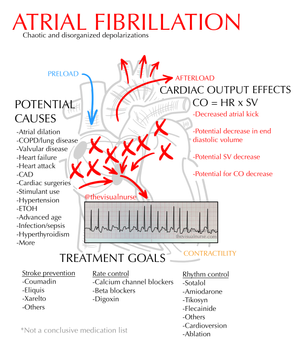 Free Resources & More! — The Visual Nurse