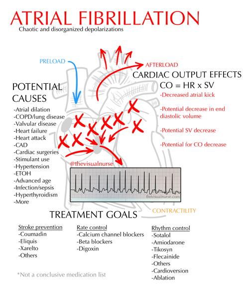 Free Resources & More! — The Visual Nurse