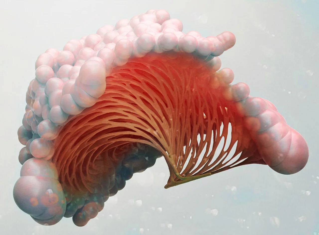 DesignMorphine — Parametricism