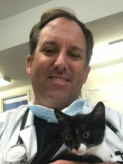 Meet the Vets — Coast Veterinary Clinic