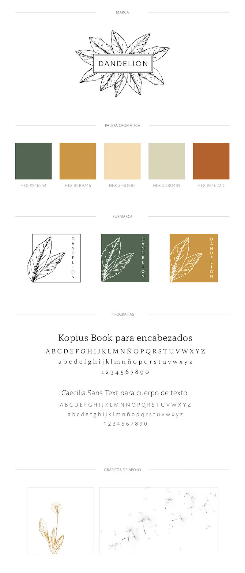 Qué es un Brand Board y para qué te sirve | Visual Bloom | Squarespace ...