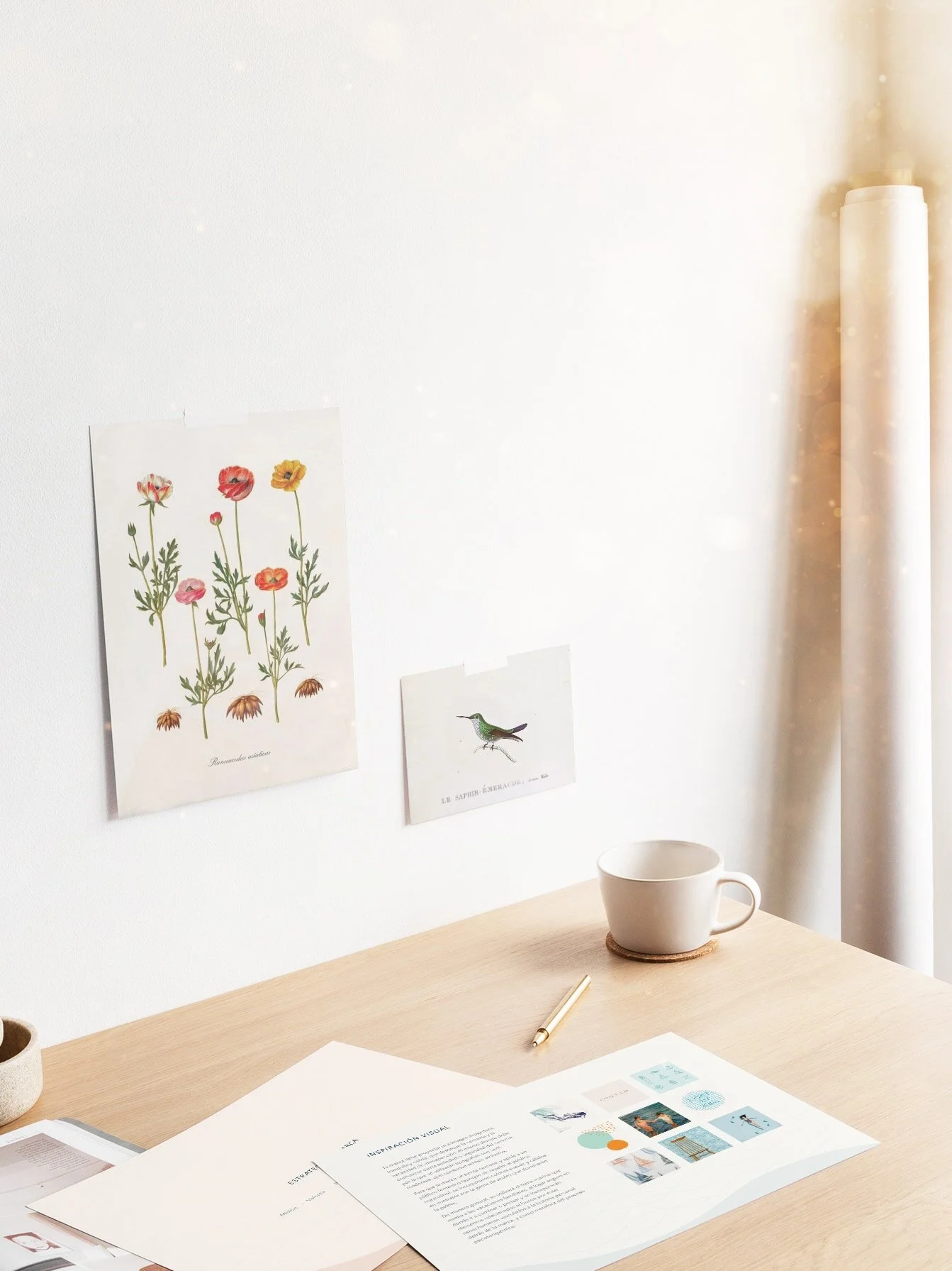 Visual Bloom | Diseño y desarrollo web en Squarespace & Shopify