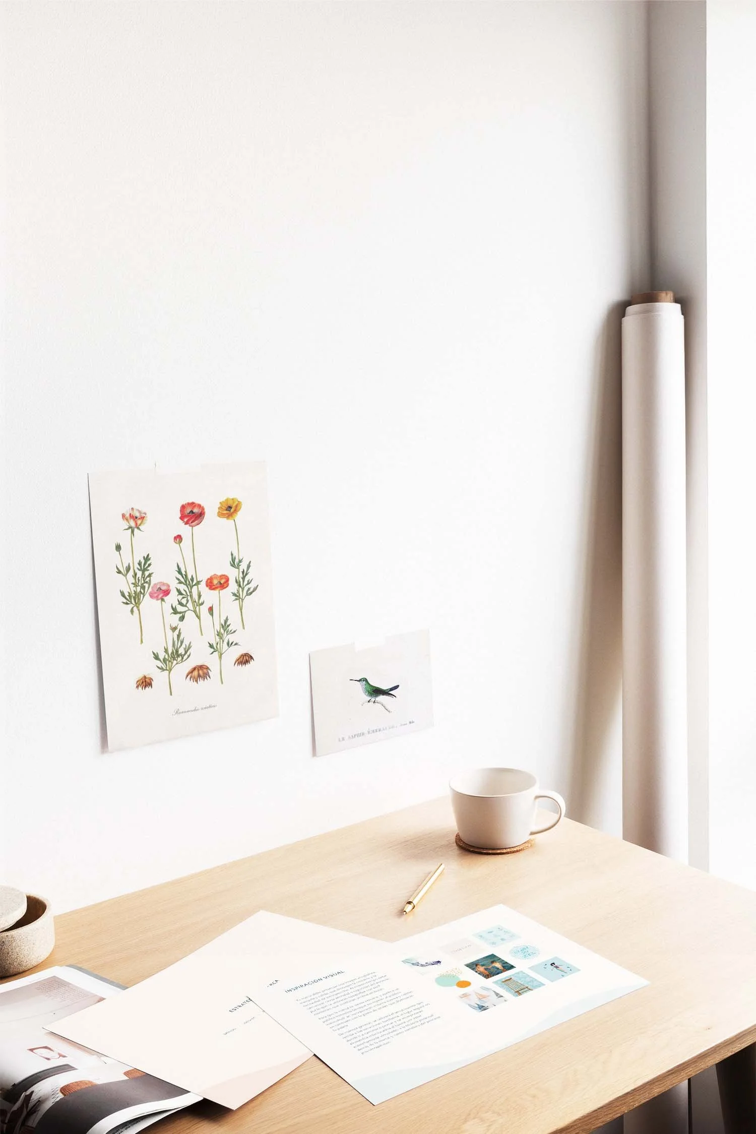 Visual Bloom | Diseño y desarrollo web en Squarespace & Shopify