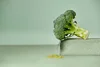 Nutri V