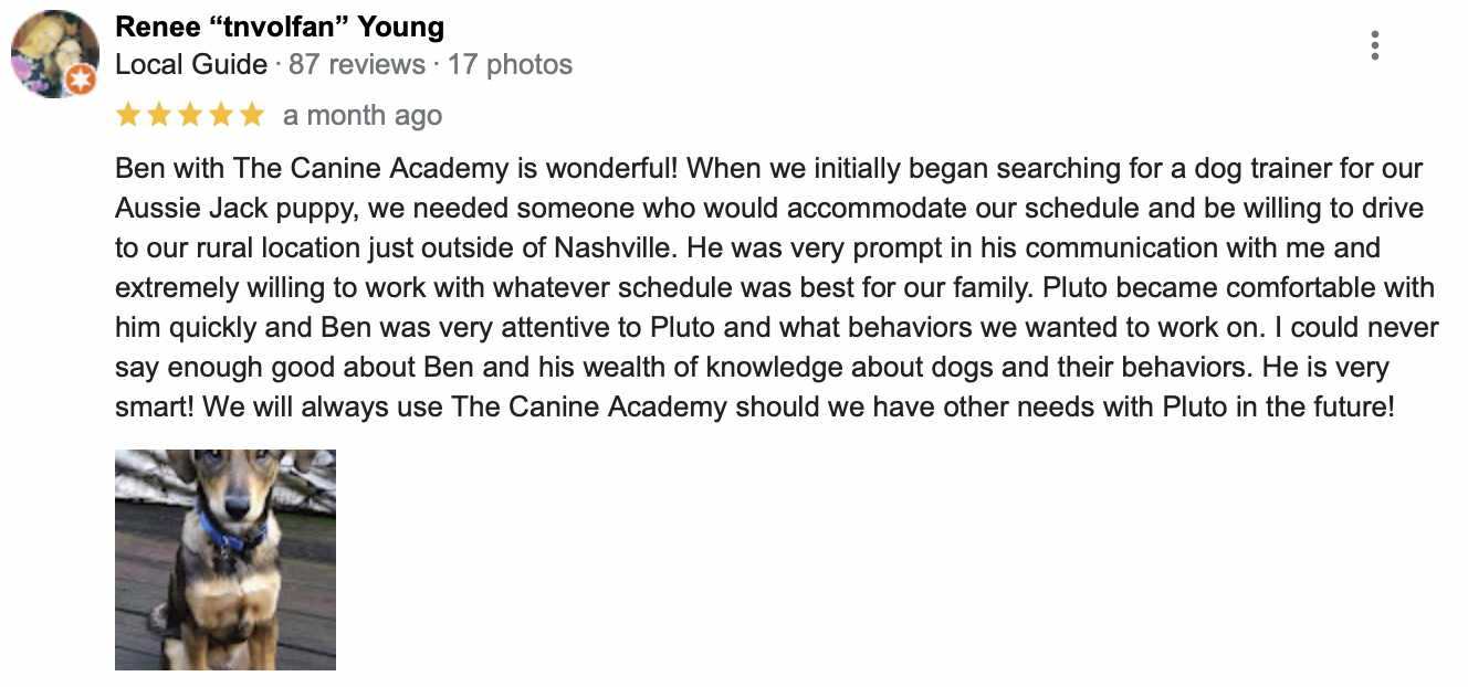 The Best Dog Training in Nashville — The Canine Academy 🐾