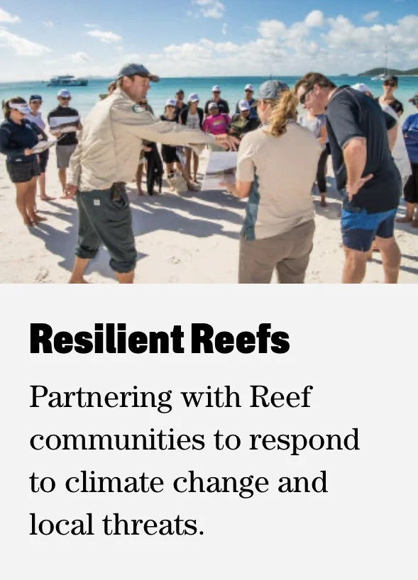 Great Barrier Reef Foundation — The Sapphire Project