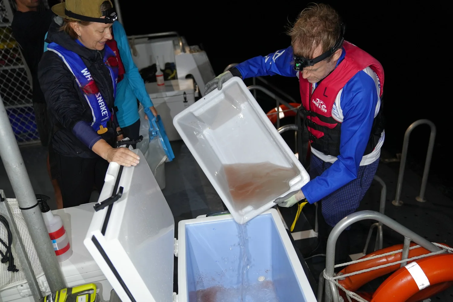 2024 Impact Report | Support Reef Preservation Today — The Sapphire Project