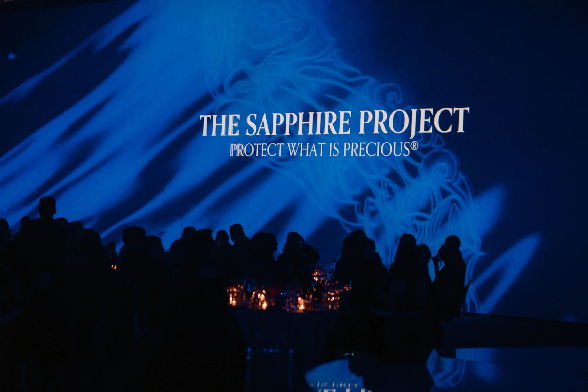 The Sapphire Dinner — The Sapphire Project