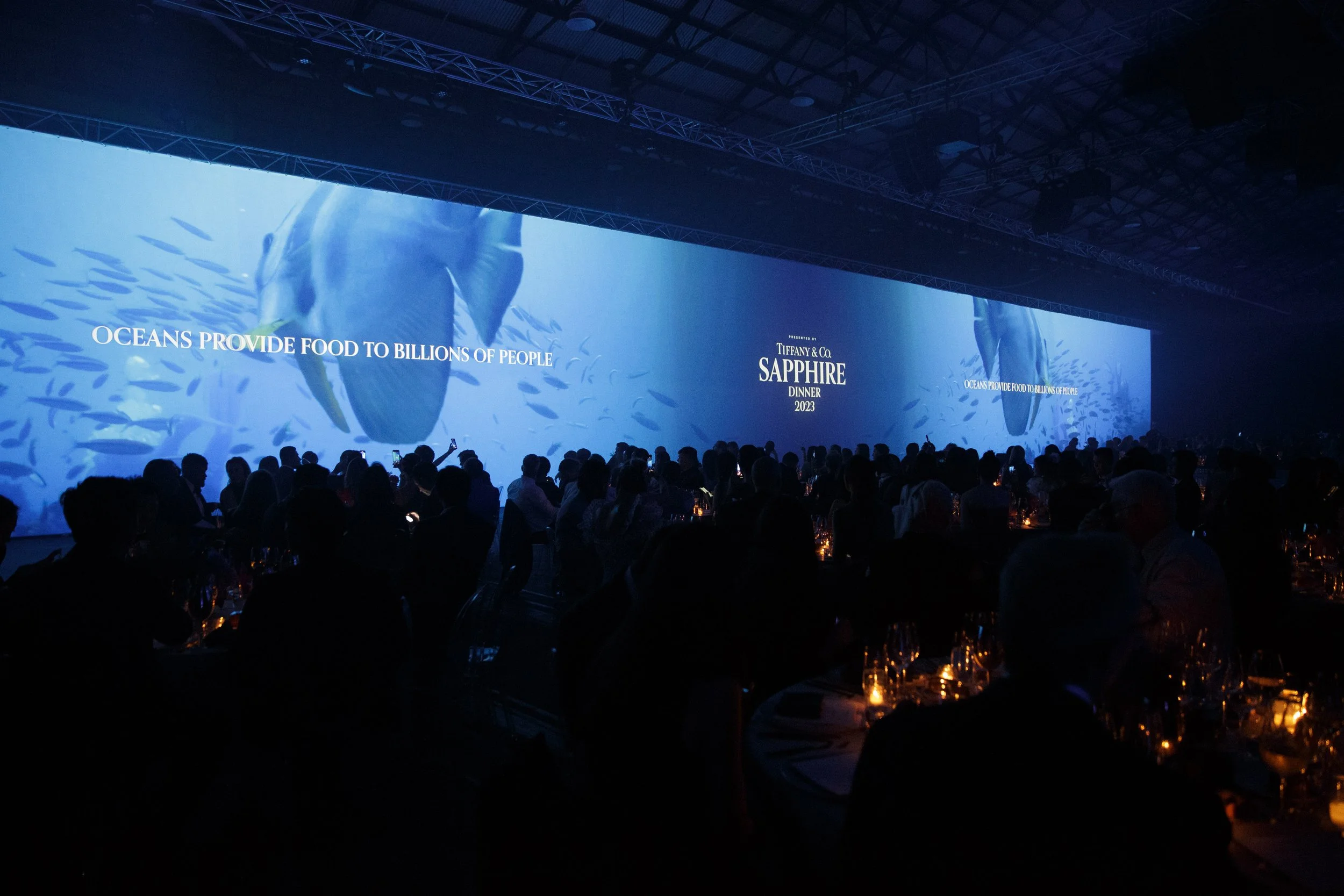The Sapphire Project