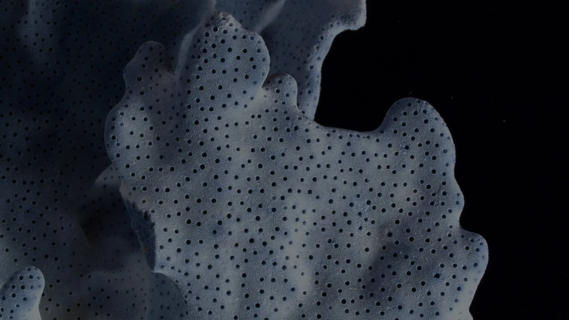 The Sapphire Project