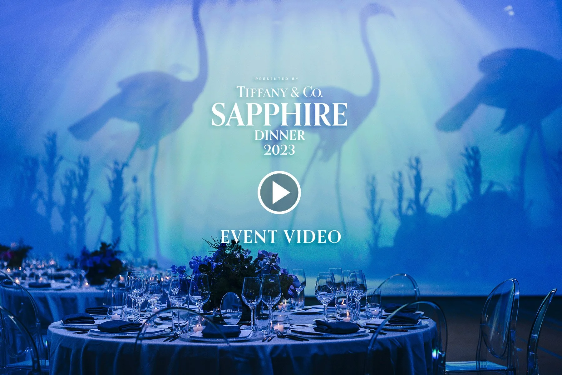 The Sapphire Project