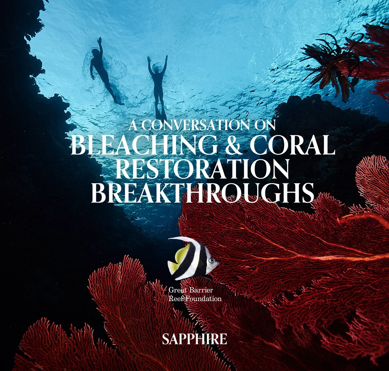 Events | Join Marine Conservation Efforts — The Sapphire Project