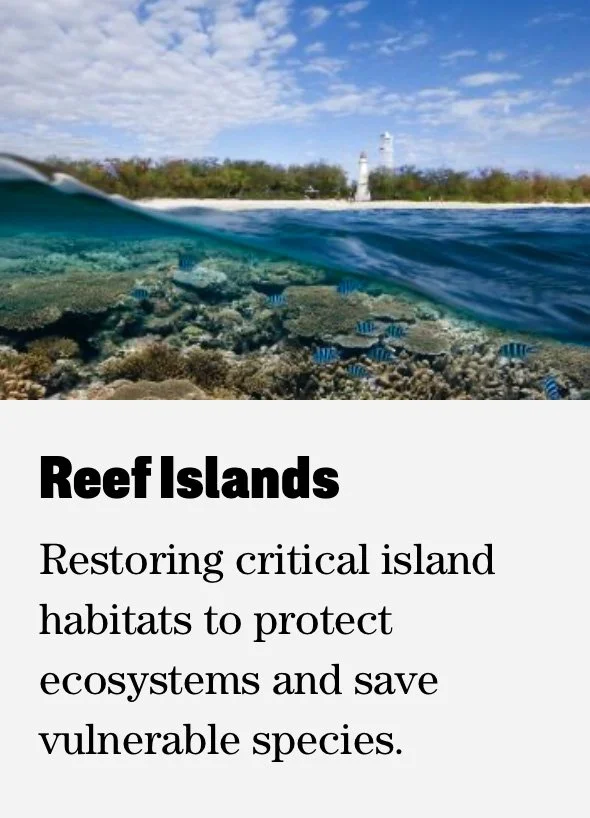 Great Barrier Reef Foundation — The Sapphire Project