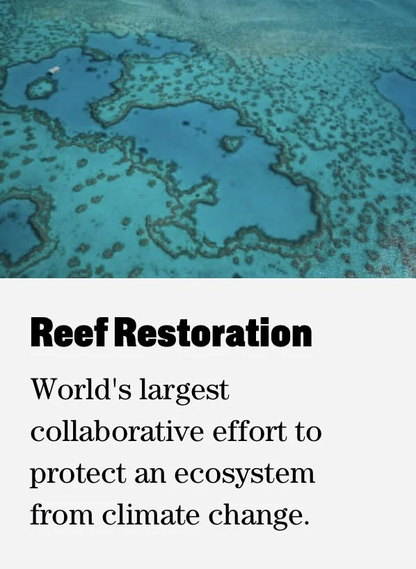 Great Barrier Reef Foundation — The Sapphire Project