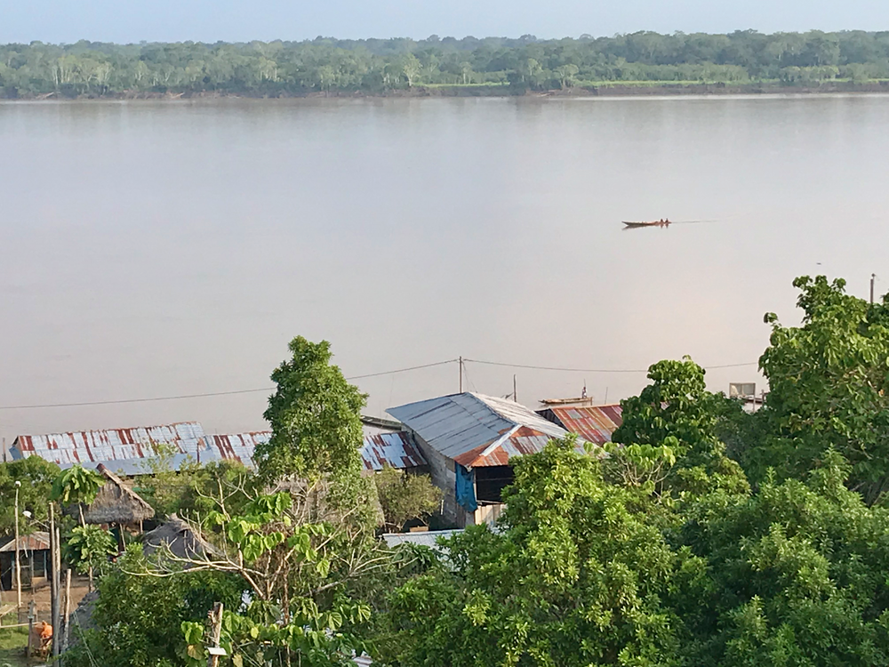 General 1 — Cocama Project