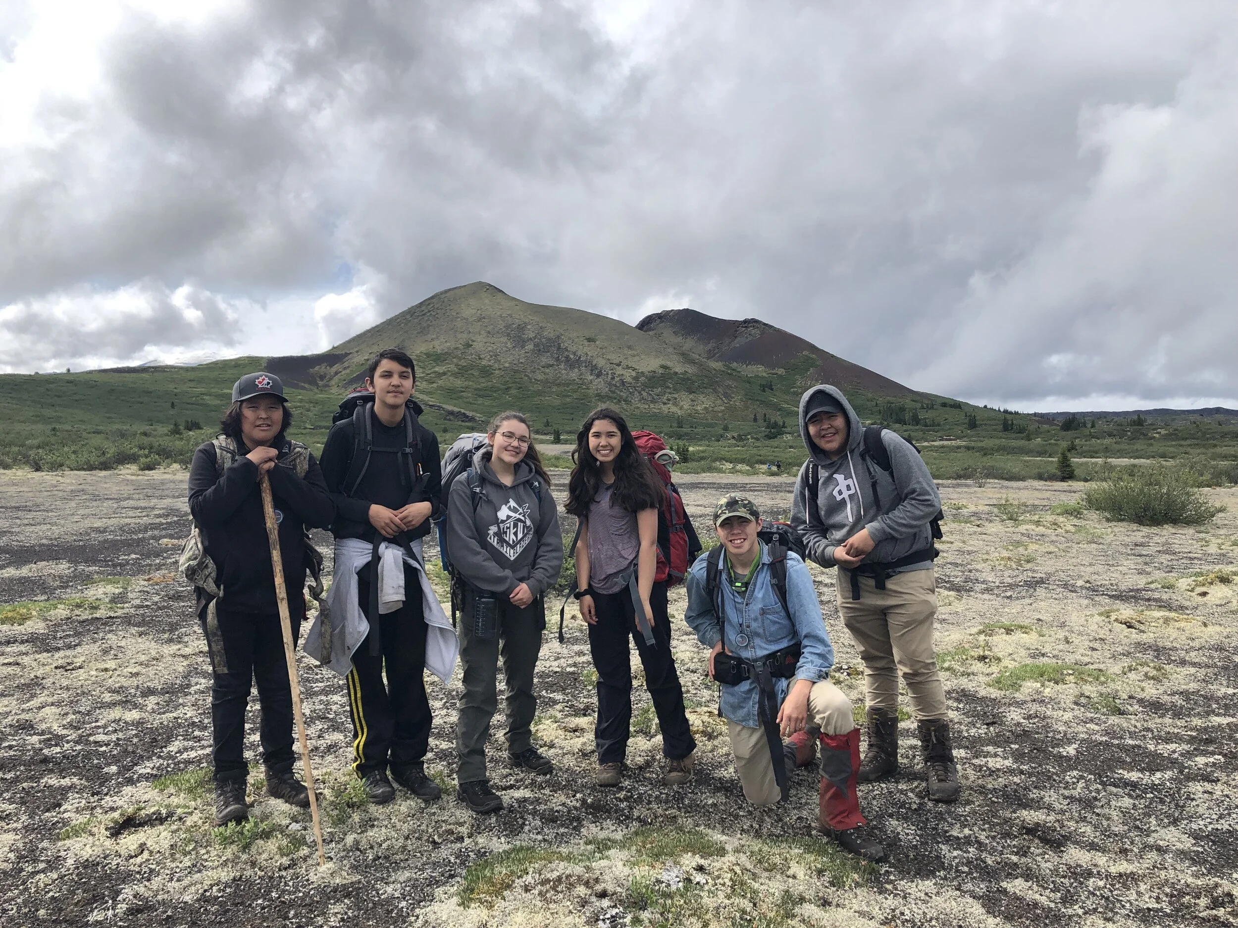 About TWILD — TWILD