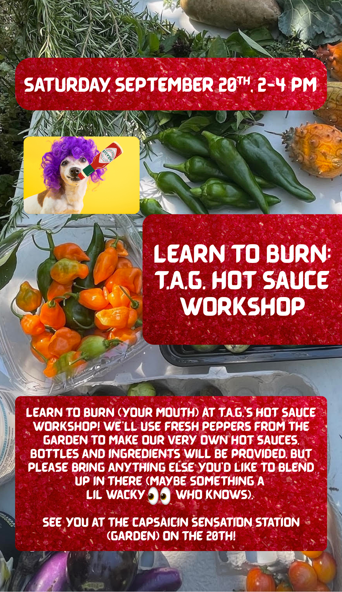 Hot Sauce Making Workshop — U Street Neighborhood Association