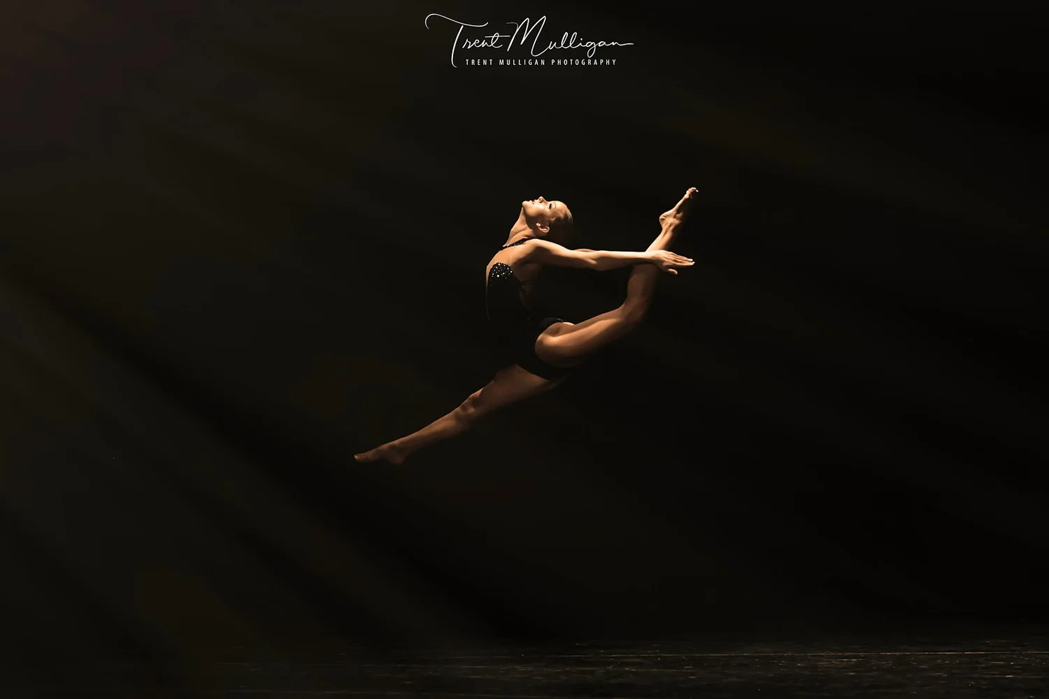 Trent Mulligan Photography