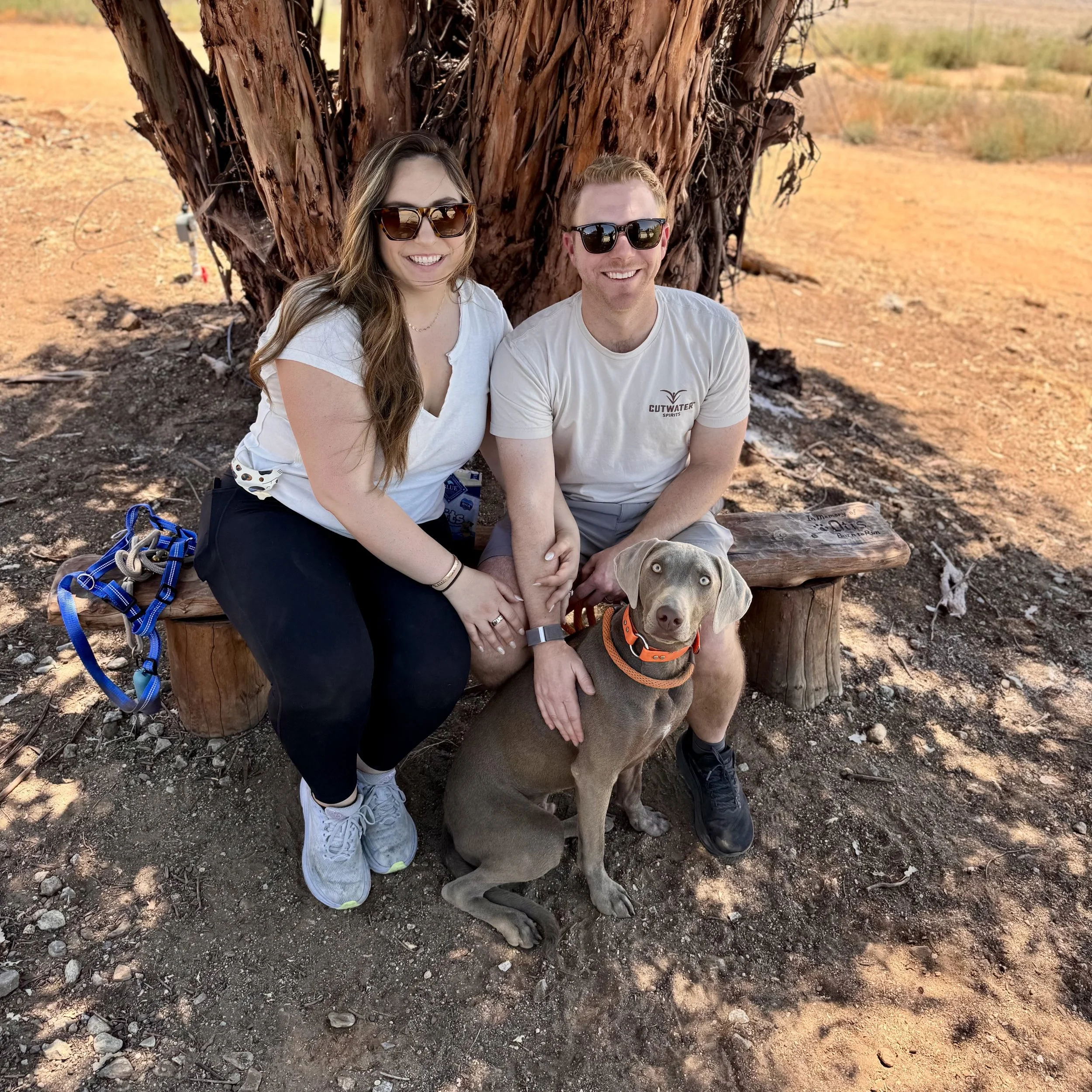 Washington Is Adopted! — California GSP Rescue