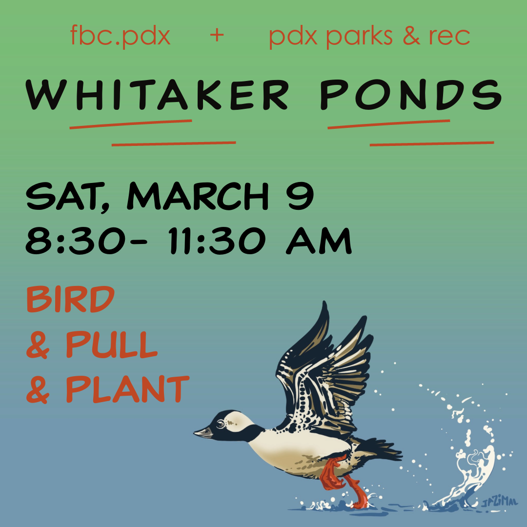 Portland - Bird & Pull & Plant — Feminist Bird Club