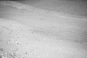 Types of Rips — Rip Current Safety
