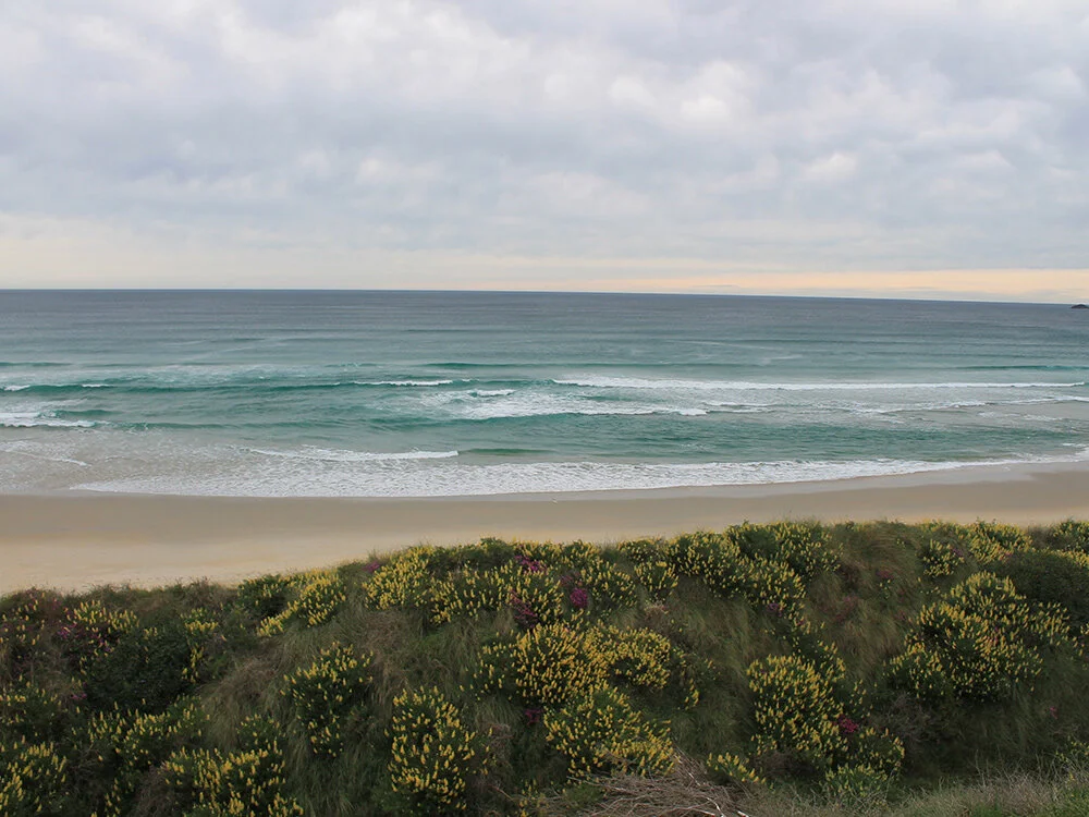 Spotting Rips — Rip Current Safety
