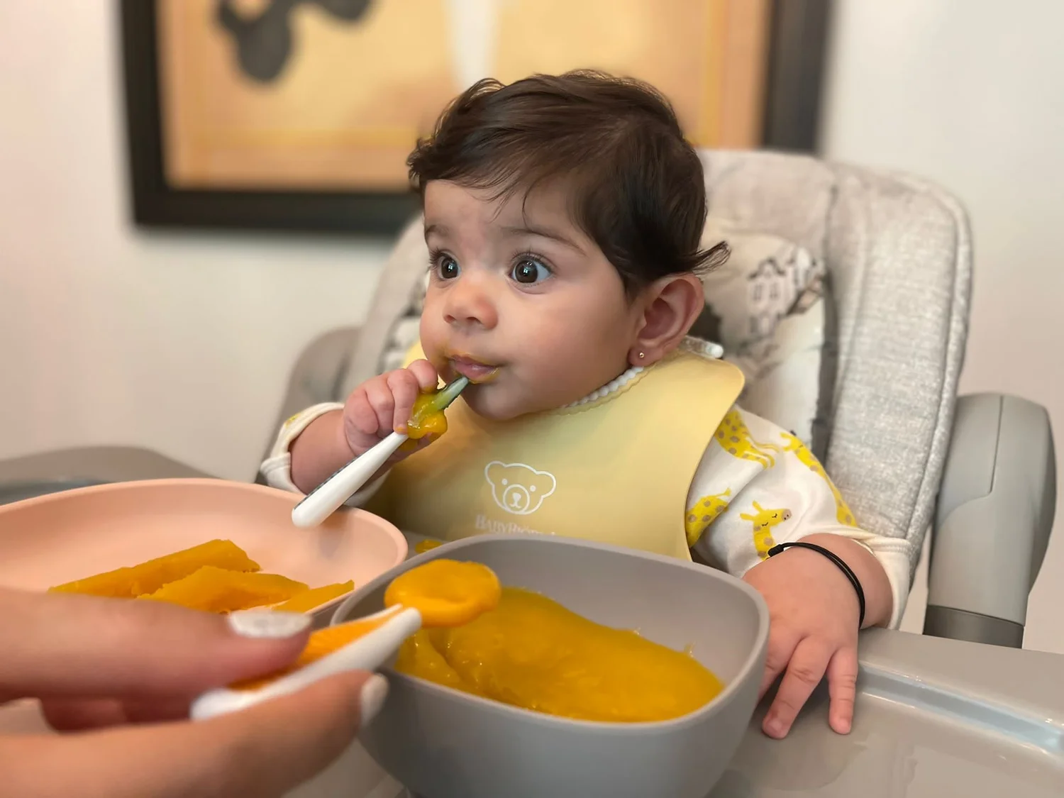 5 to 10 Months Baby Solid Food Feeding Schedule — Sanchita Daswani