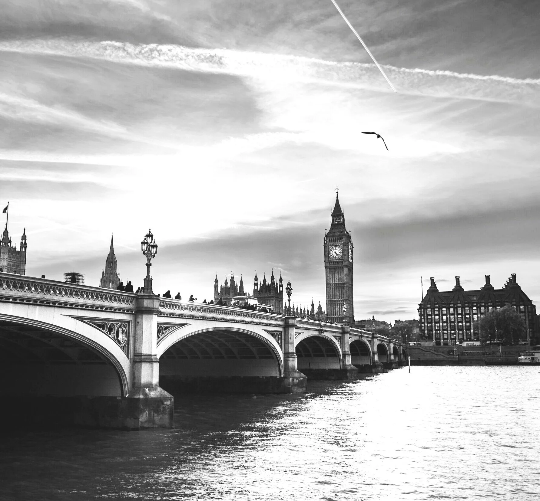 Charles Bain Plastic Surgery