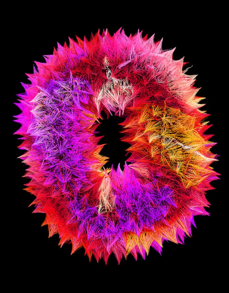Gallery 3 — Alex Camacho