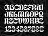 Typeface Design — Alex Camacho
