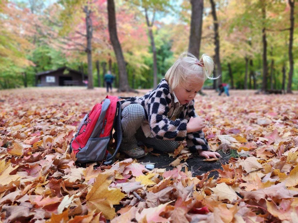 Forest School — Butterfly Hill Nature Preschool