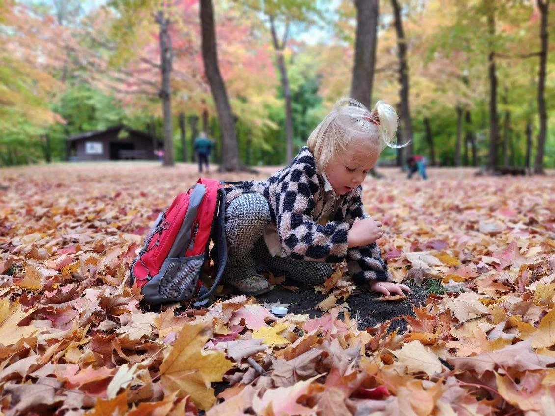 Forest School — Butterfly Hill Nature Preschool