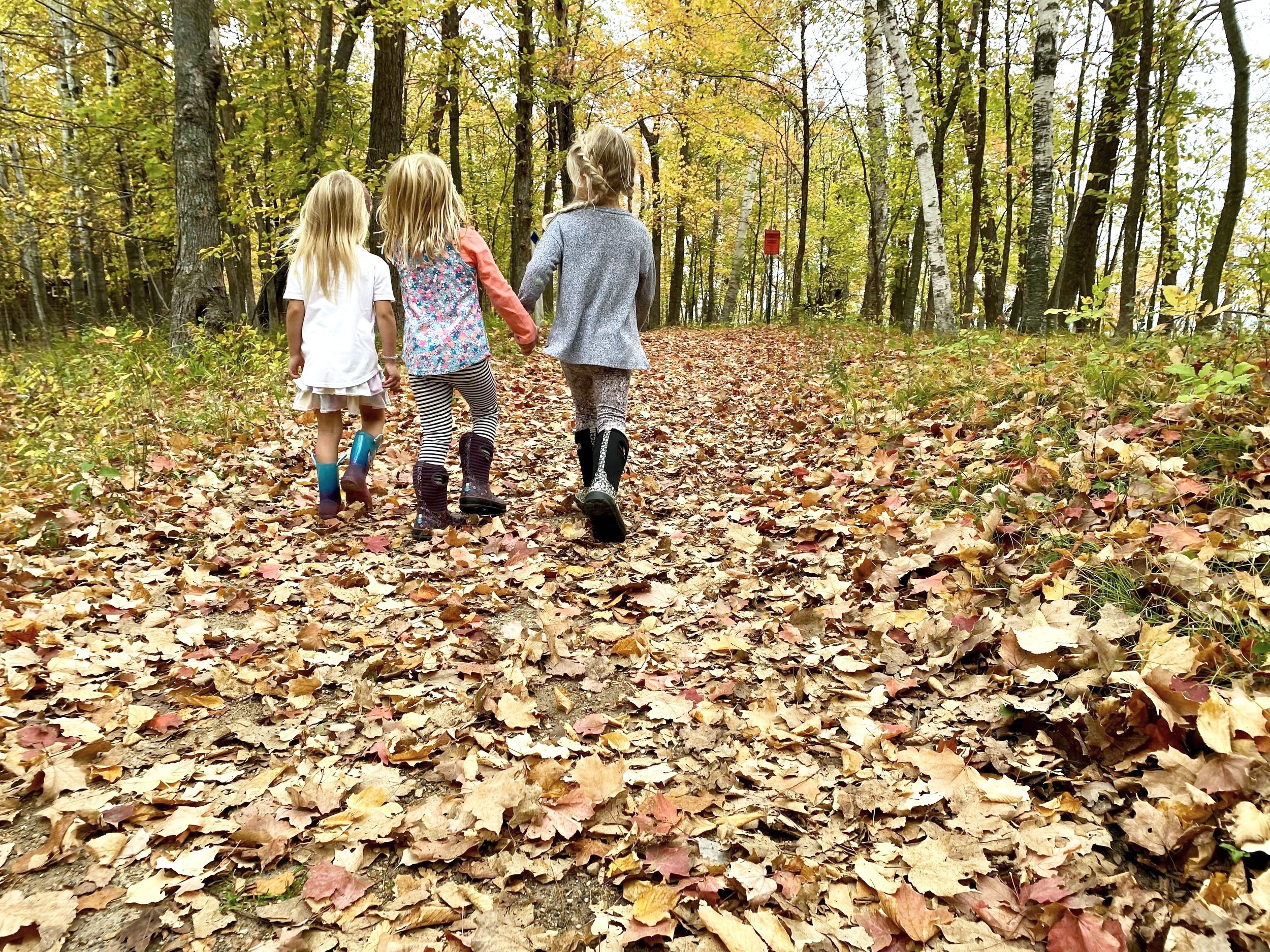 Forest School — Butterfly Hill Nature Preschool