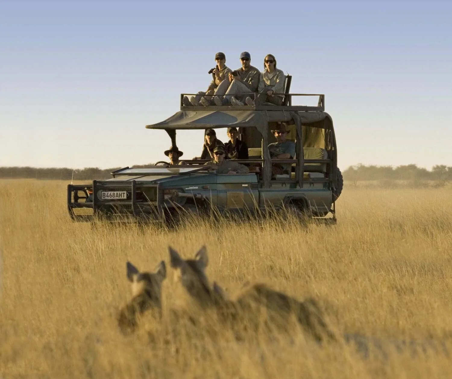 Top 6 Things to do at Jack’s Camp — Tett Safaris
